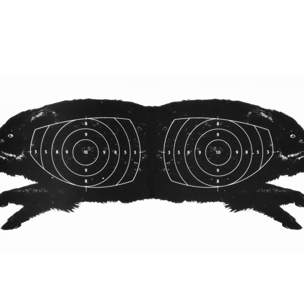 ELECTRONIC SCORING SYSTEM FOR SHOOTING xCursor ET-2000