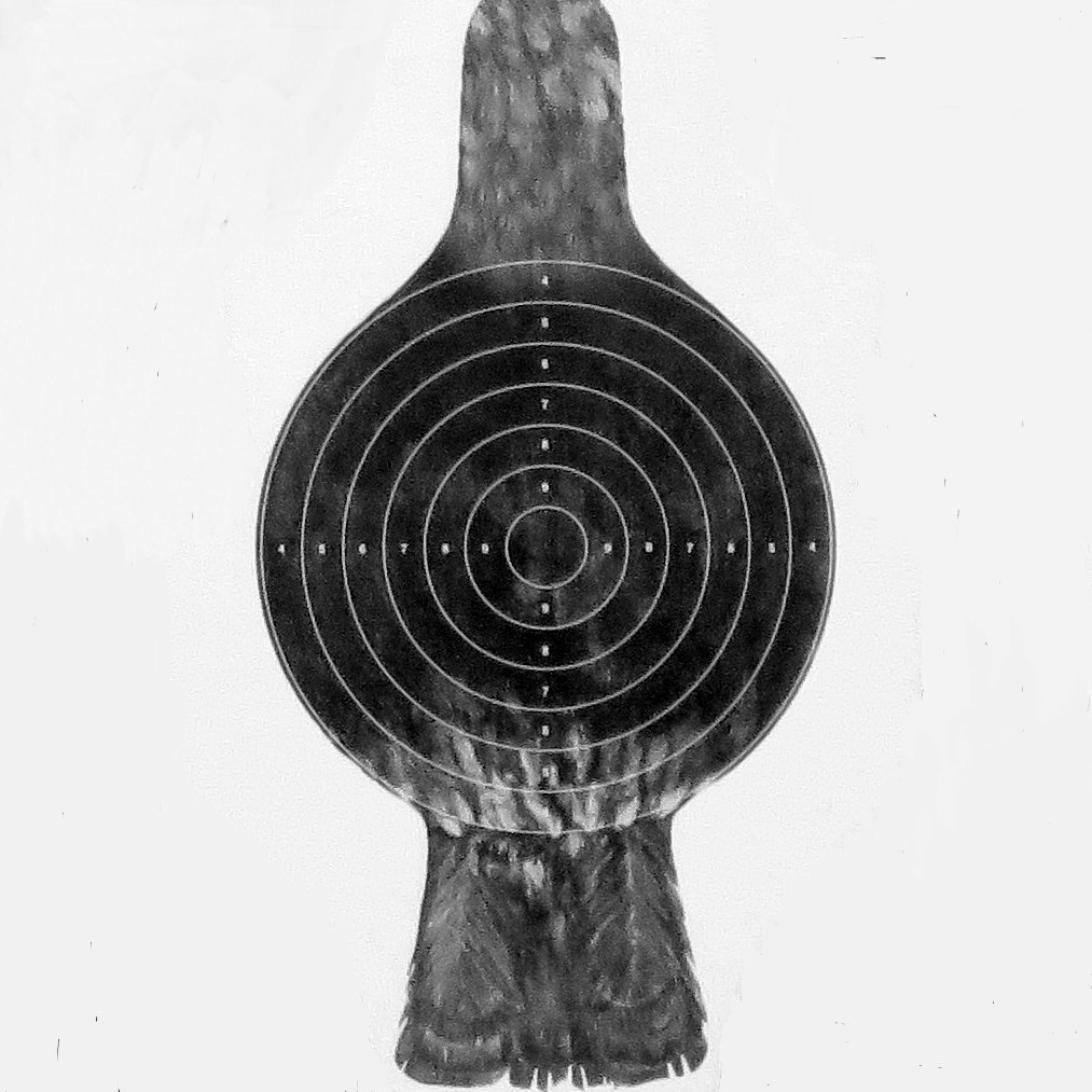 ELECTRONIC SCORING SYSTEM FOR SHOOTING xCursor ET-2000