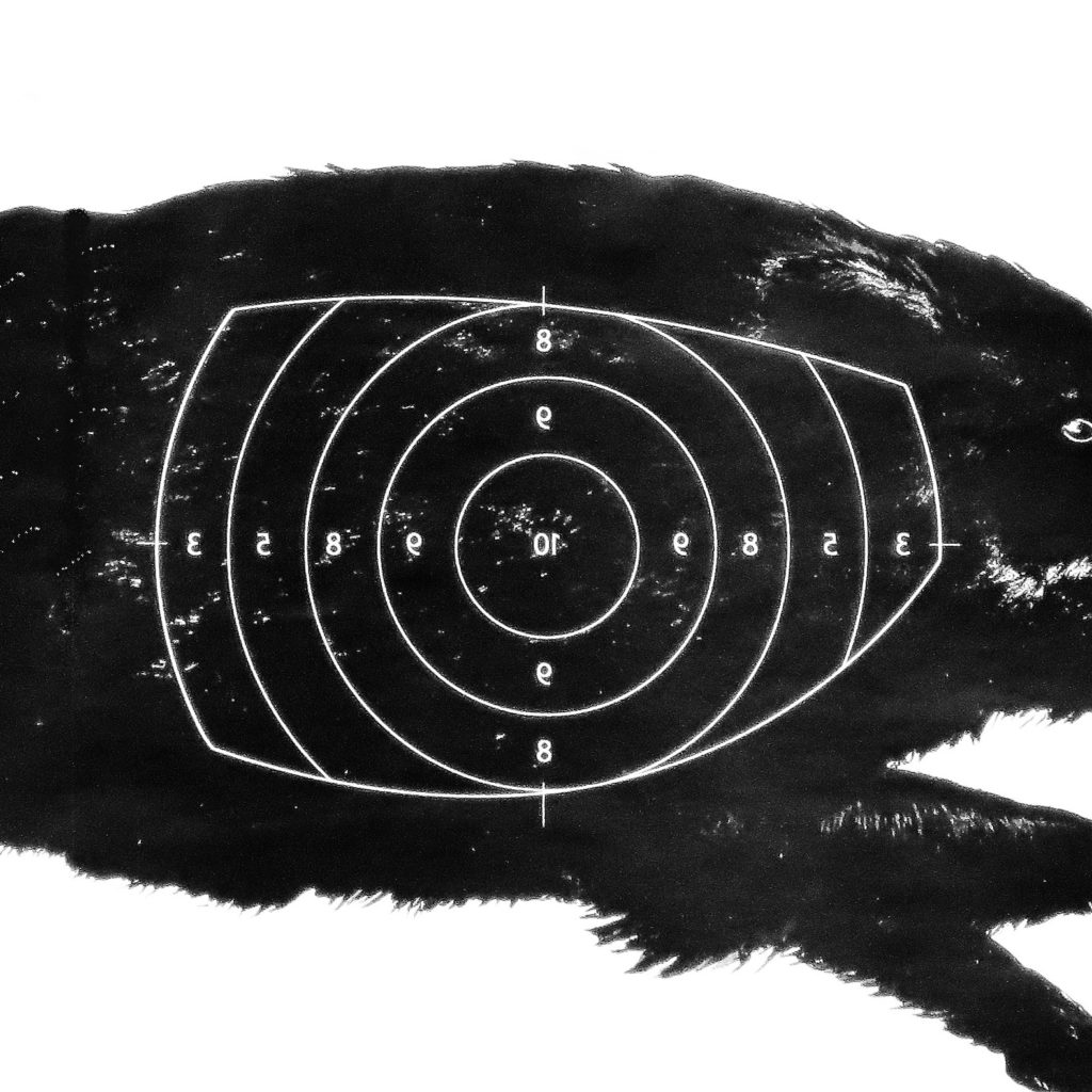 ELECTRONIC SCORING SYSTEM FOR SHOOTING xCursor ET-2000